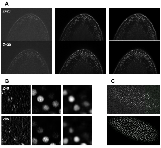 MMV_Im2Im: An Open Source Microscopy Machine Vision Toolbox for Image ...